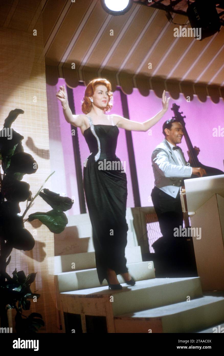 Singer-And-Actress Lane 60 Photos - Moonagedaydream.film