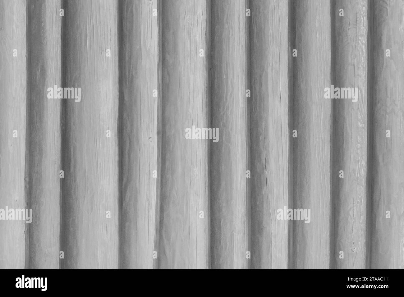 Wooden logs timber background forest large texture background hardwood ...
