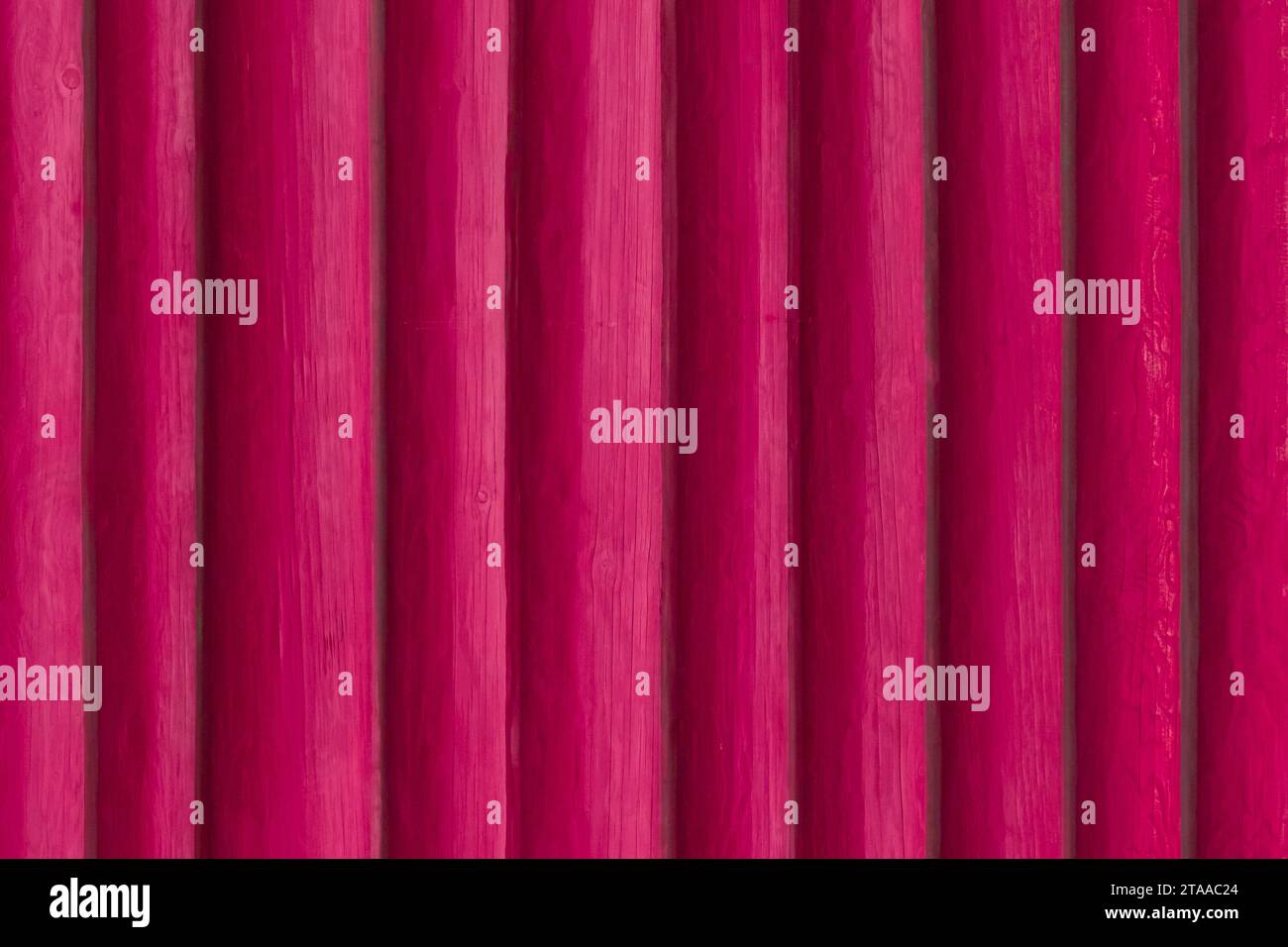 Wooden logs timber background forest large texture background hardwood ...