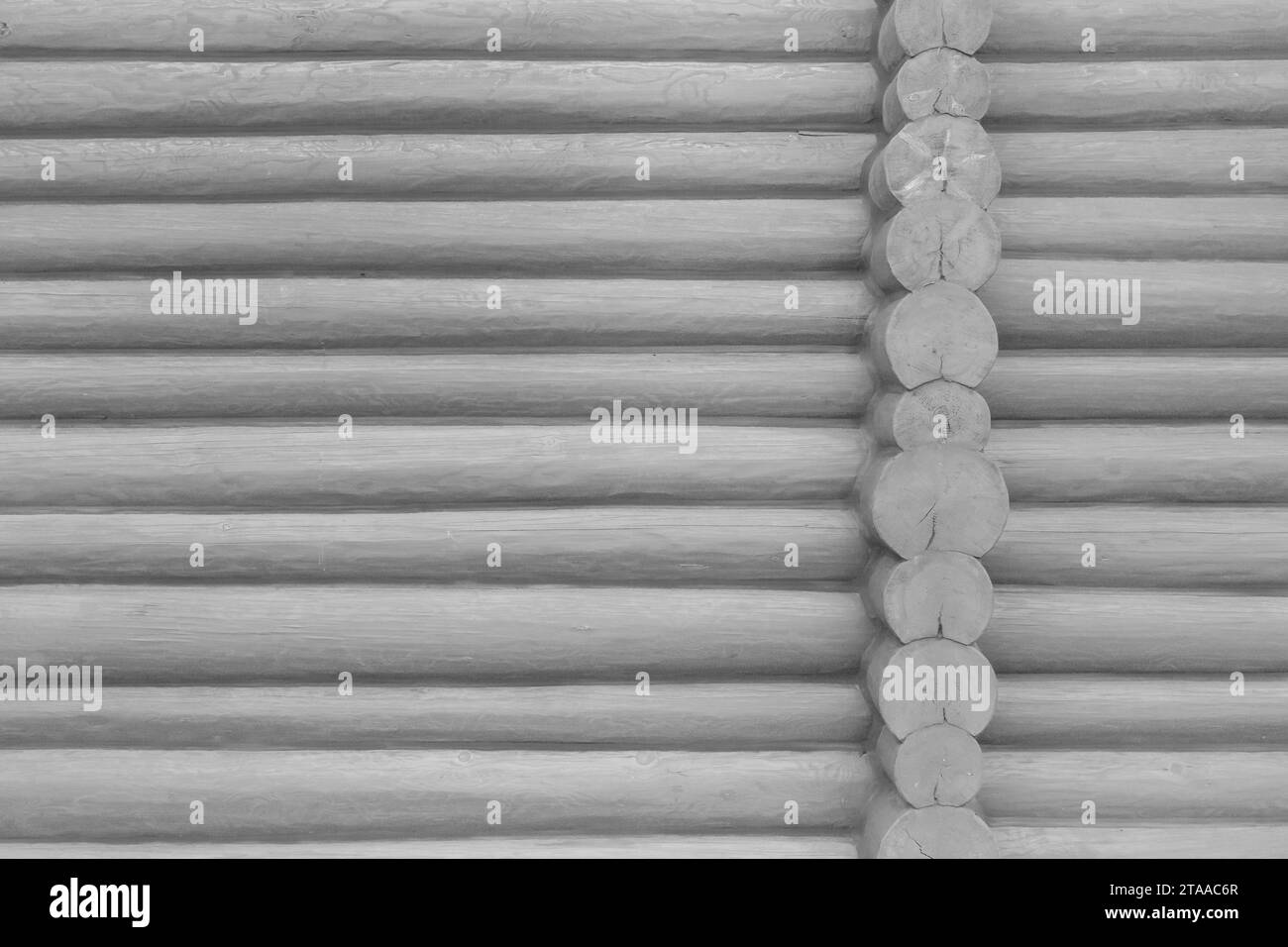 Wooden logs timber background forest texture background hardwood grey ...