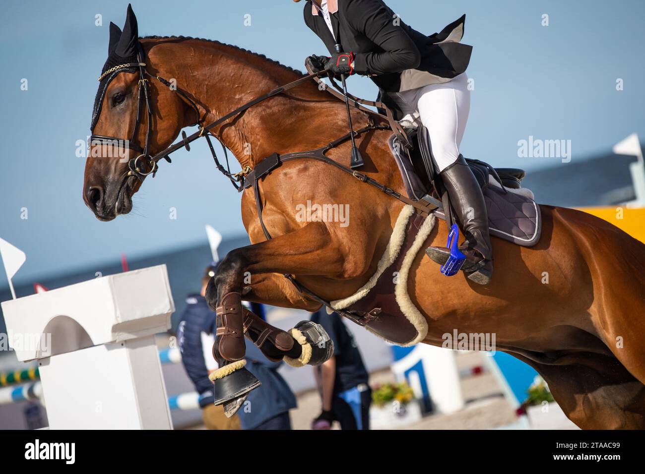Horse Jumping, Equestrian Sports, Show Jumping event themed photograph ...