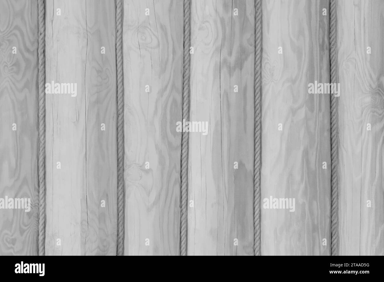 Wooden logs timber background forest large thick texture background ...