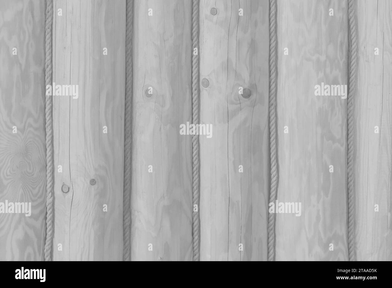 Wooden logs timber background forest large thick texture background ...