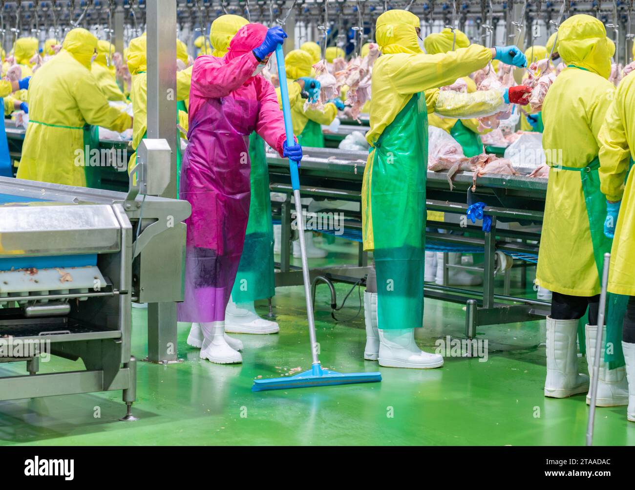 Hygiene officer wear uniform cleaning the protective clothing using a ...