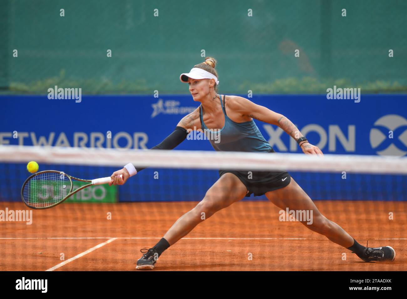 Polona Hercog (Slovenia). WTA Argentina Open 2023 Stock Photo - Alamy