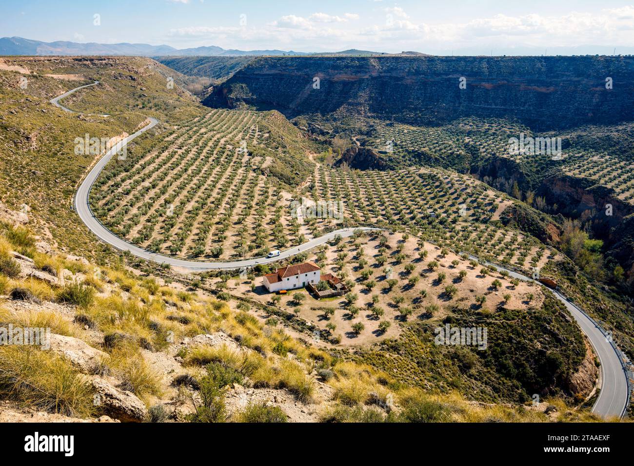 Agricultural fields in Andalusia, Spain Stock Photo - Alamy