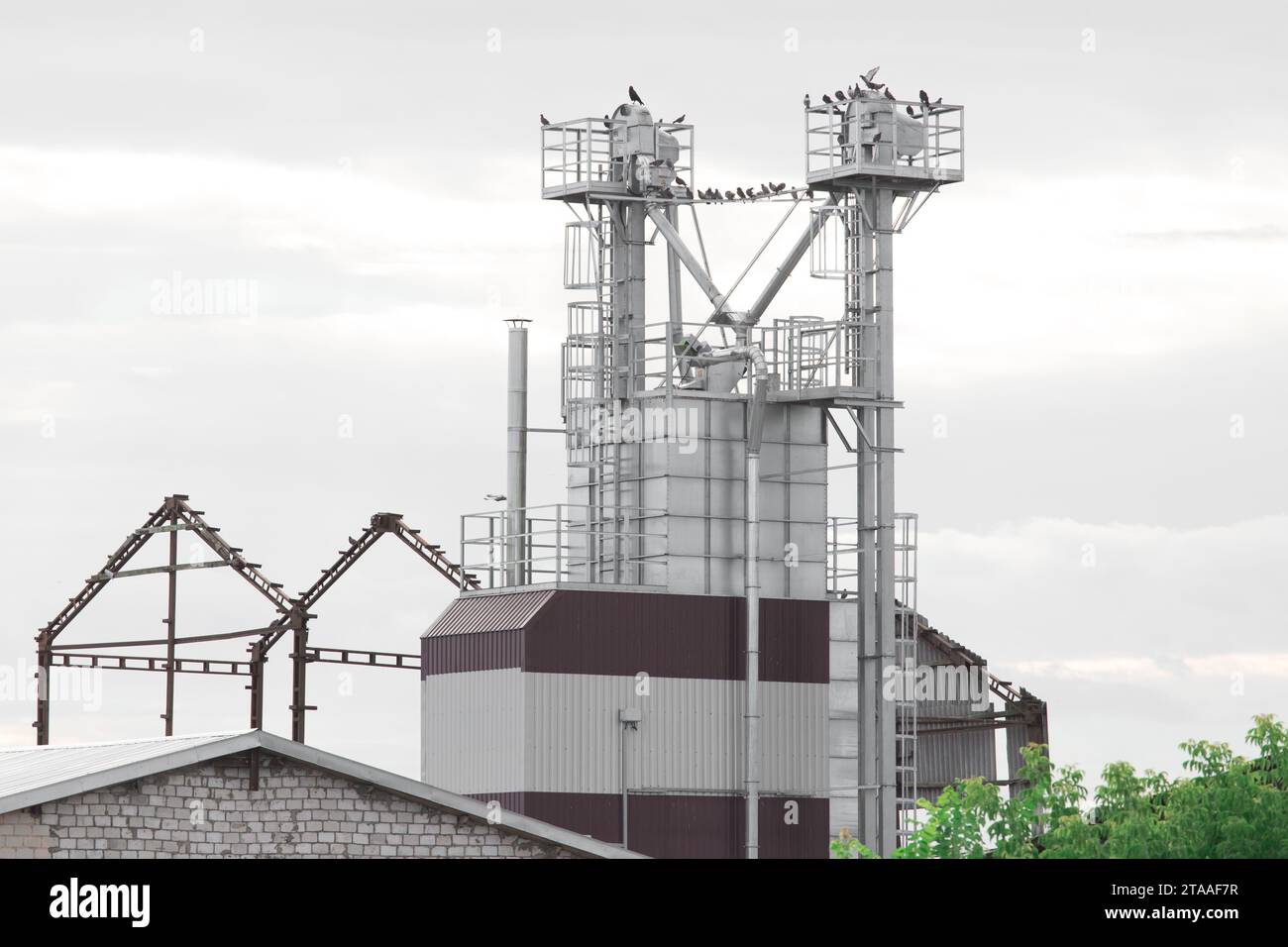 Silo tower storage agricultural products corn grain seed industrial ...