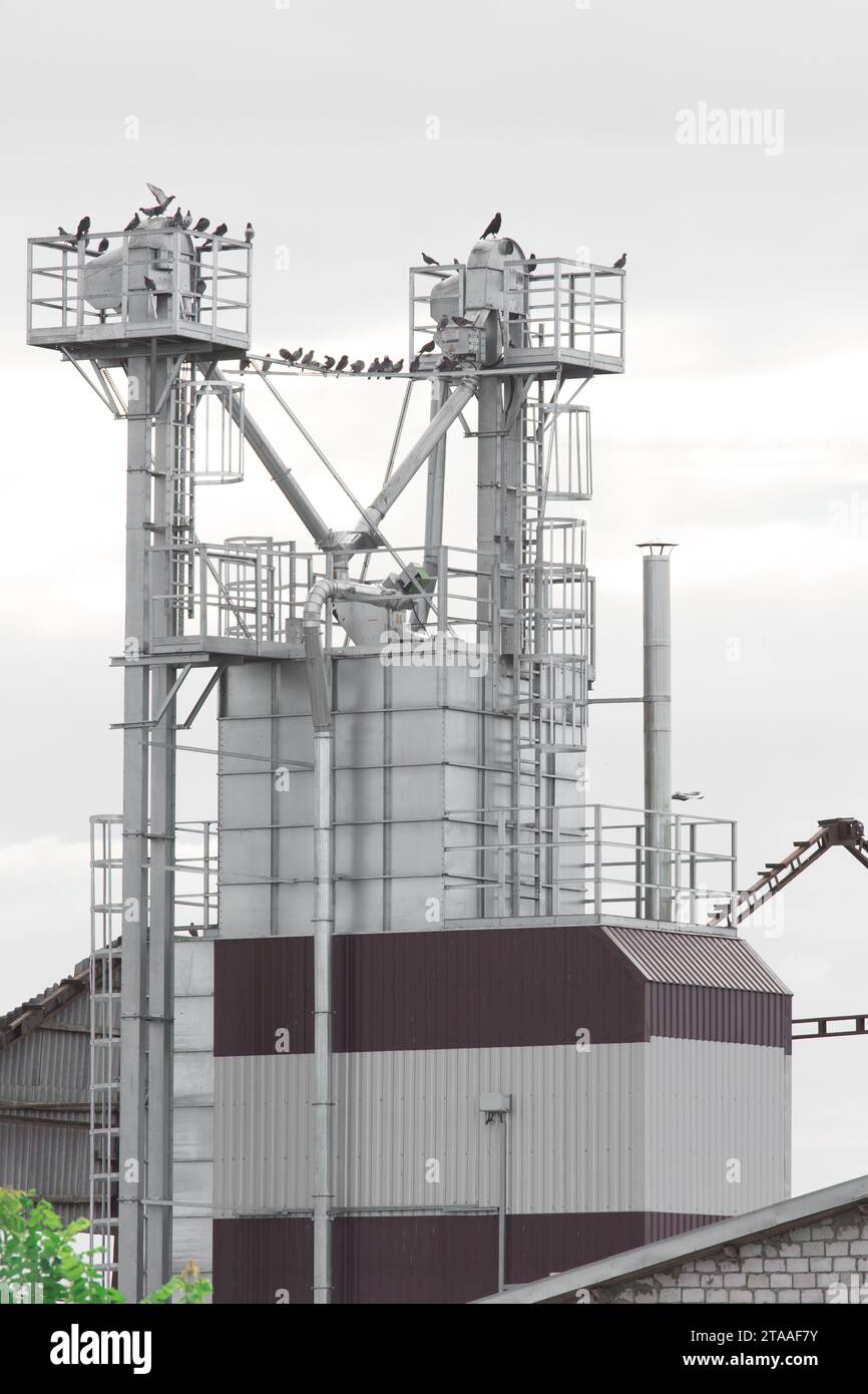 Silo tower storage agricultural products grain seed industrial plant ...