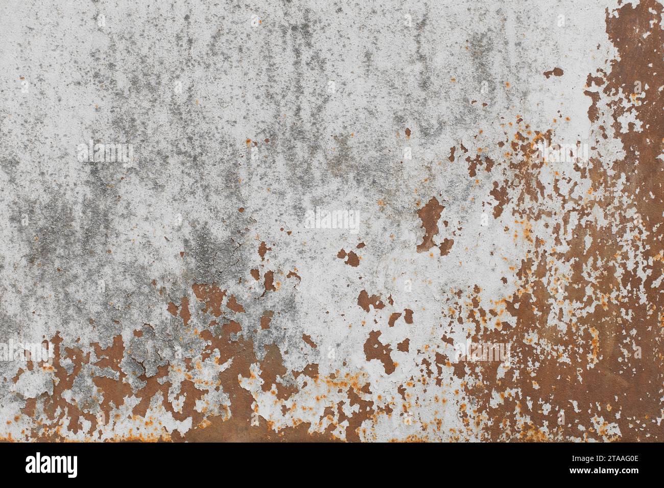 Old white peeling paint with rusty brown metal surface texture ...