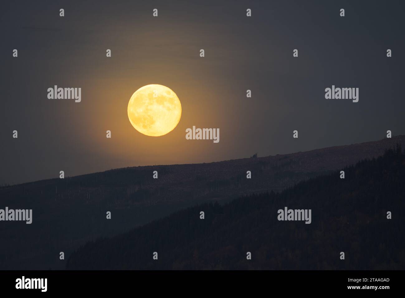 Mist gives a soft glow to the Full Beaver moon rising behind mountain ...
