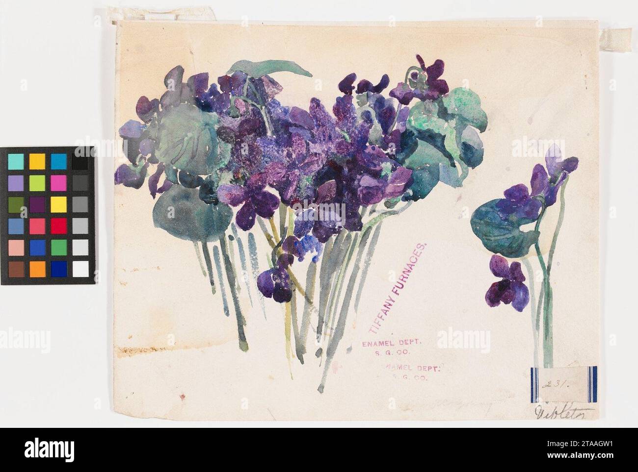 Watercolor violets hi-res stock photography and images - Alamy