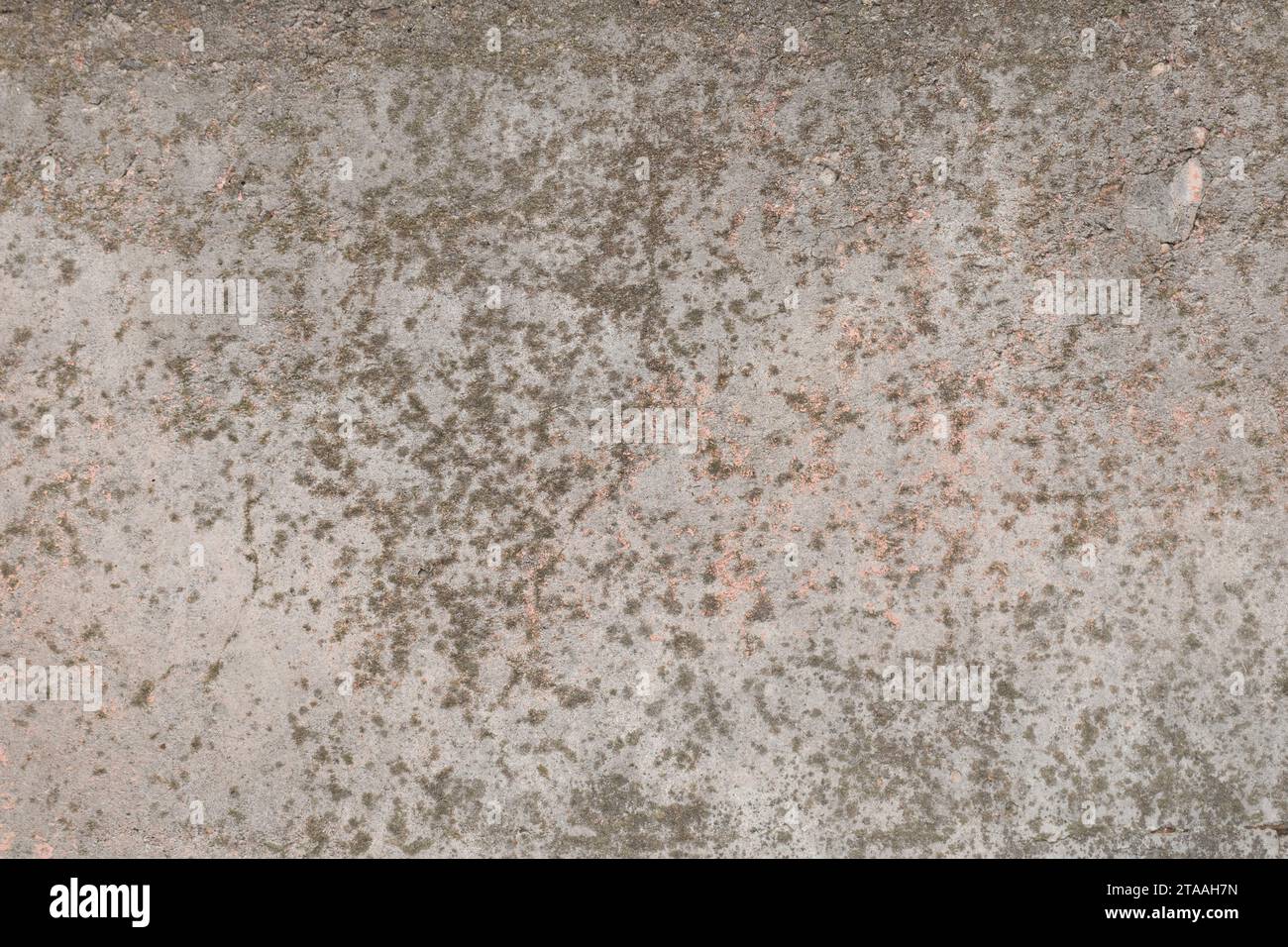 Old weathered surface mold wall dirty pattern texture background ...