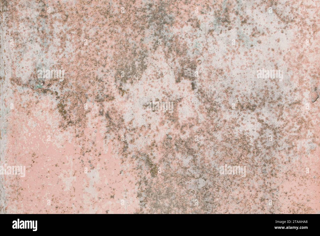 Old weathered surface mold wall dirty pattern texture background ...