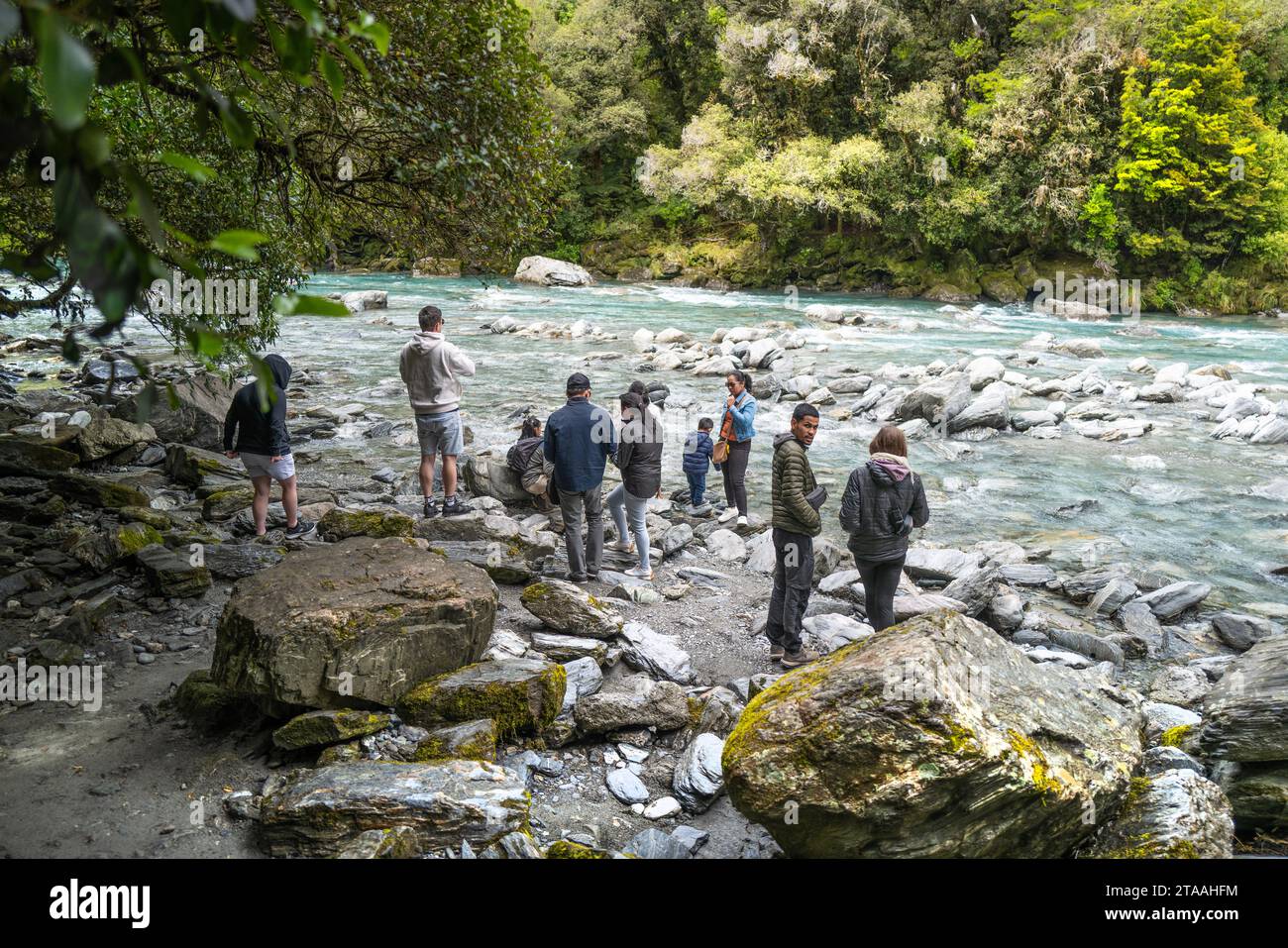 Road trip around the South Island of New Zealand. pictured at An ...