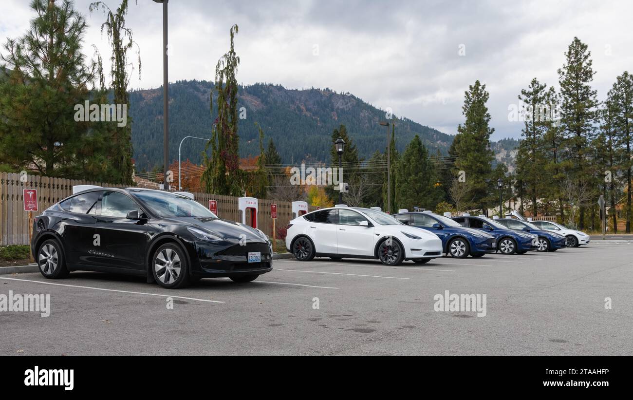 Leavenworth, WA, USA - October 22, 2023; Row of Tesla electric cars at ...