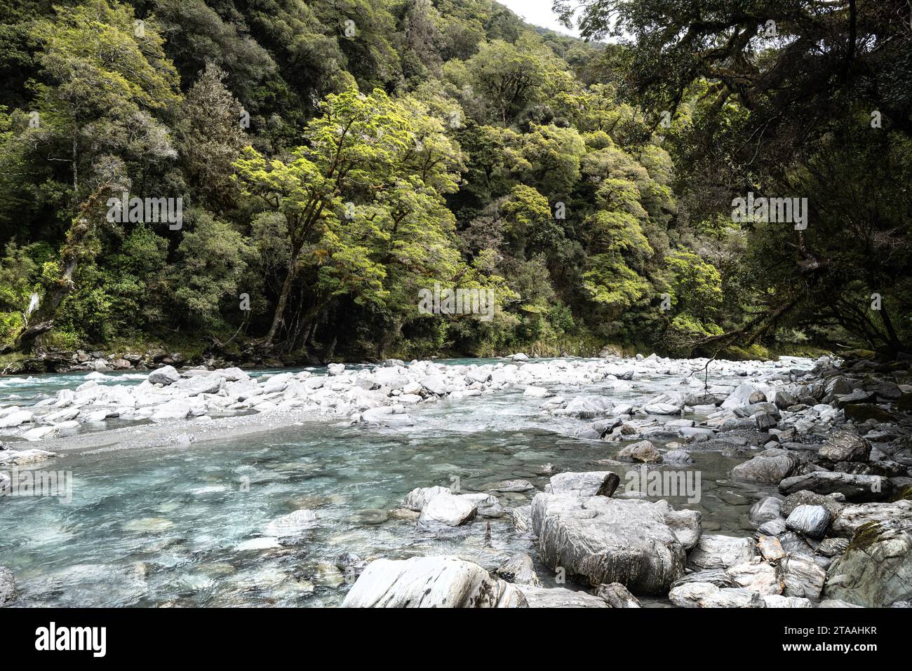 Road trip around the South Island of New Zealand. pictured at An ...
