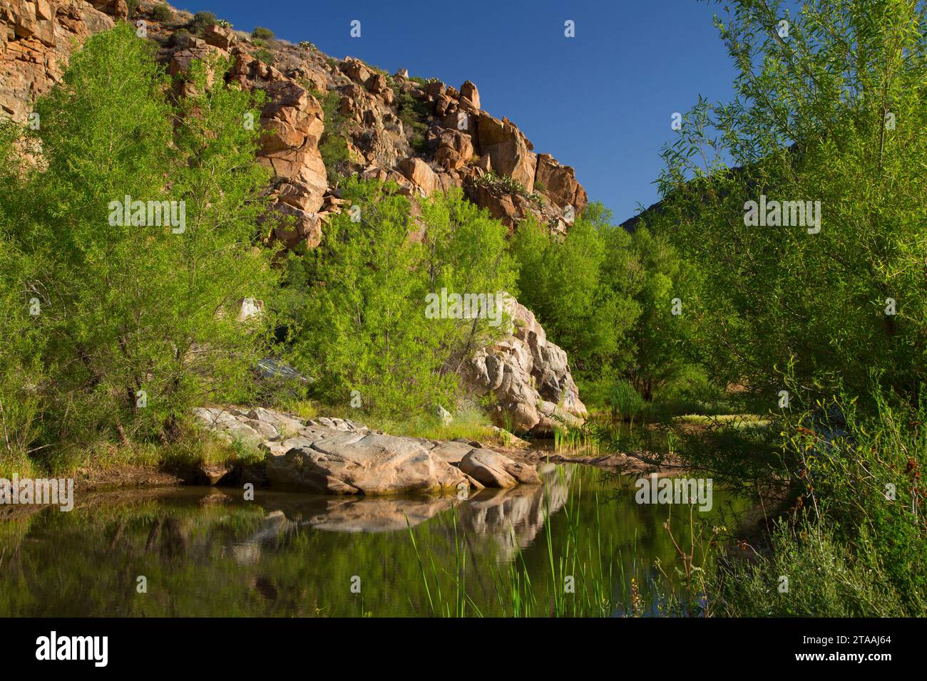Agua Fria River canyon along Badger Springs Trail, Agua Fria National ...