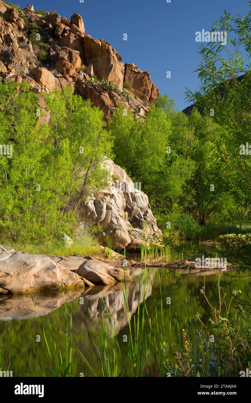 Agua Fria River canyon along Badger Springs Trail, Agua Fria National ...