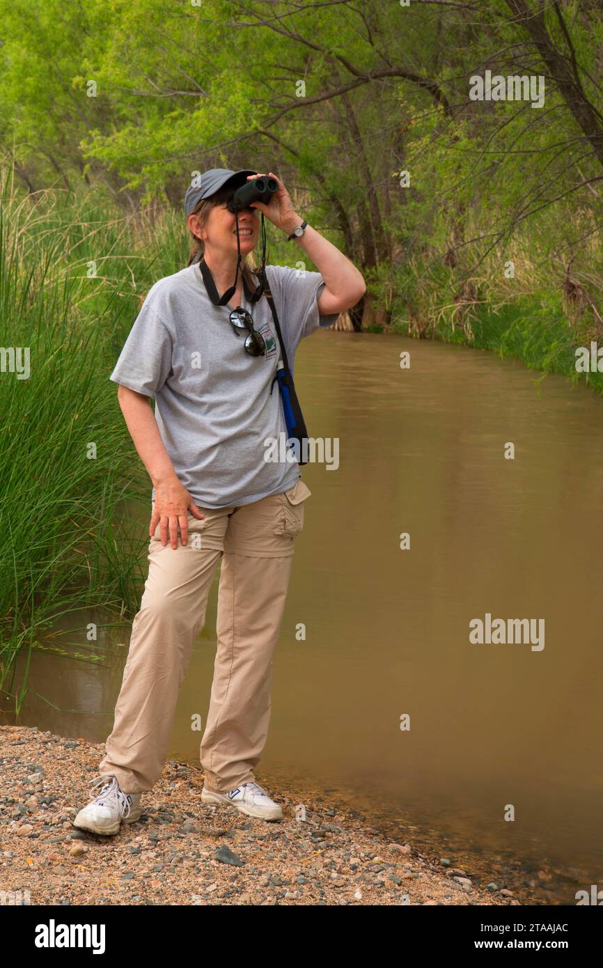 Birding along Verde River at Black Canyon Day-Use, Prescott National Forest, Arizona Stock Photo ...