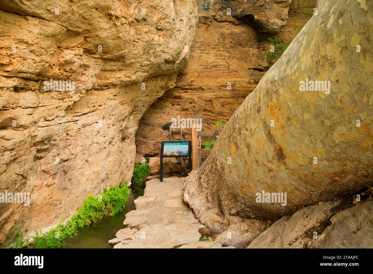 Arizona native canal hi-res stock photography and images - Alamy