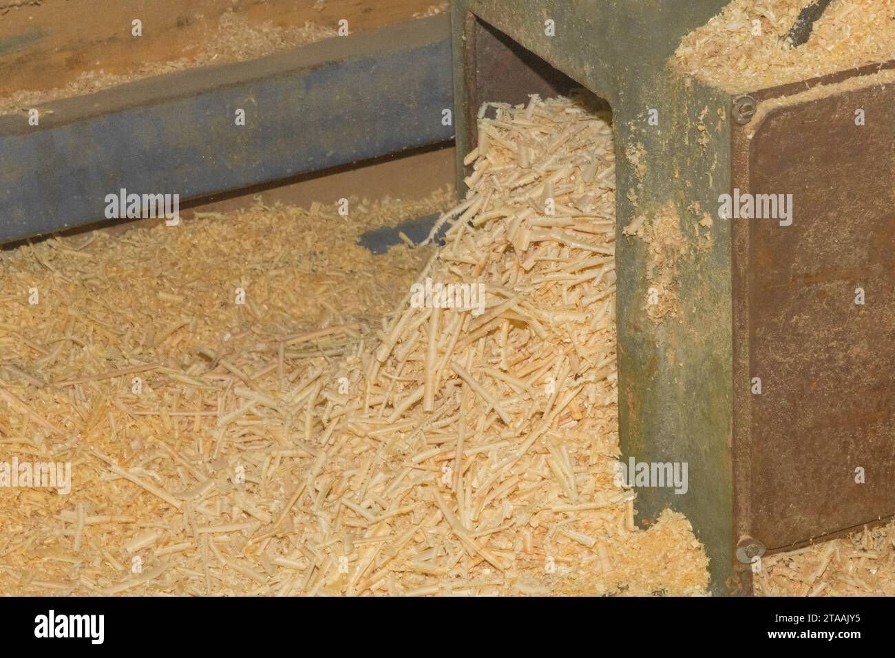 Yellow Natural Wood Sawdust Waste and Recycling Wood in Industrial ...