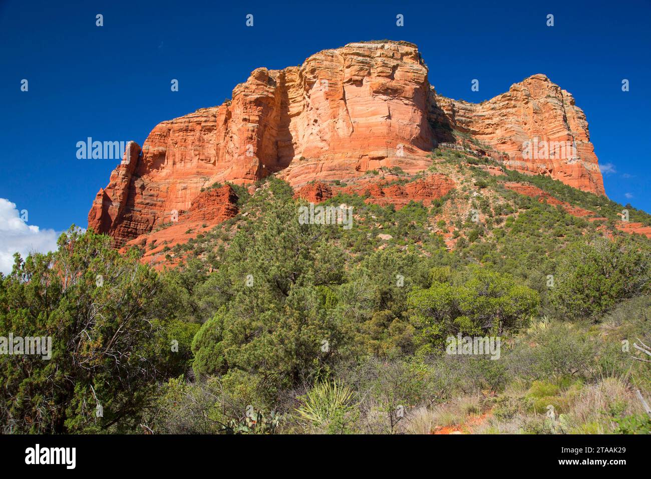 Courthouse Butte from Courthouse Butte Loop Trail, Munds Mountain ...