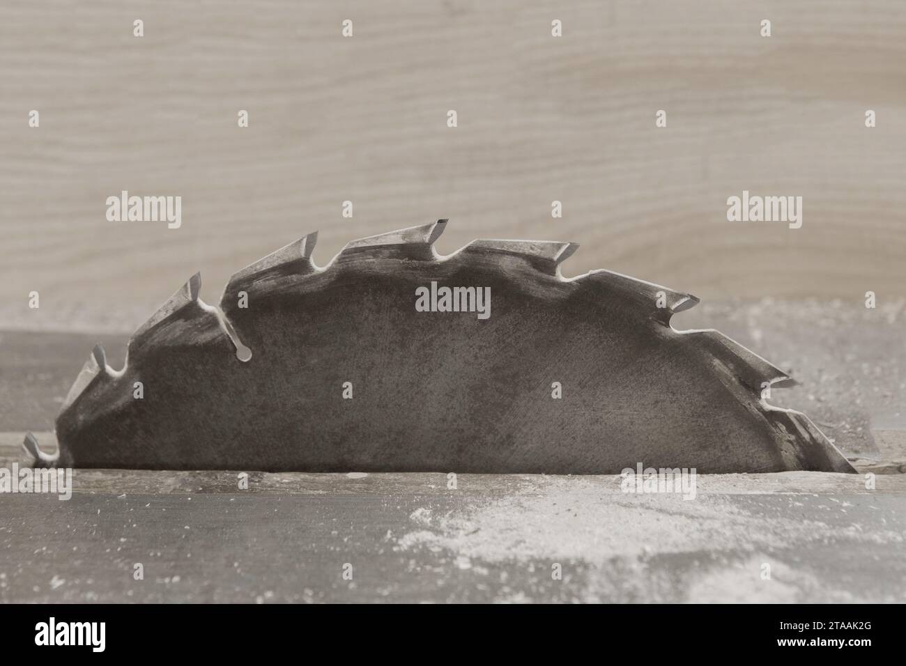 Circular Saw Sharp Spikes Diamond Blade Machine Close-up Industrial ...