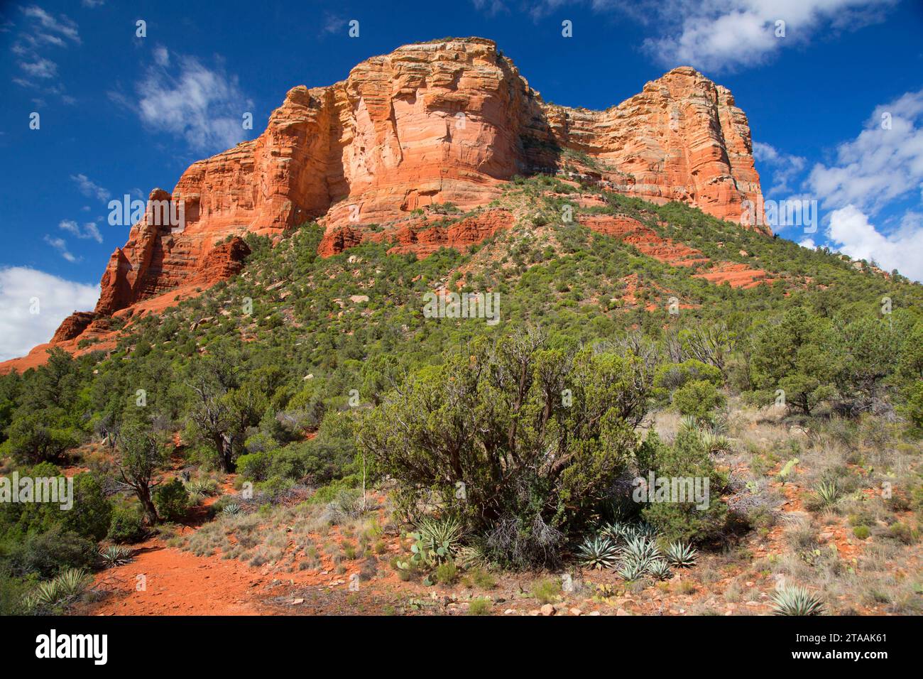 Courthouse Butte from Courthouse Butte Loop Trail, Munds Mountain ...