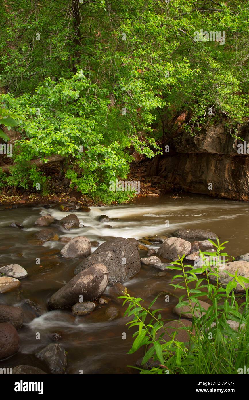 Oak Creek at Grasshopper Point Day Use Area, Coconino National Forest ...