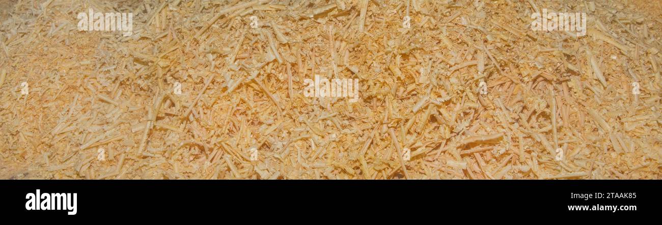 Yellow Natural Wood Shavings Waste Recycling Industrial Material ...