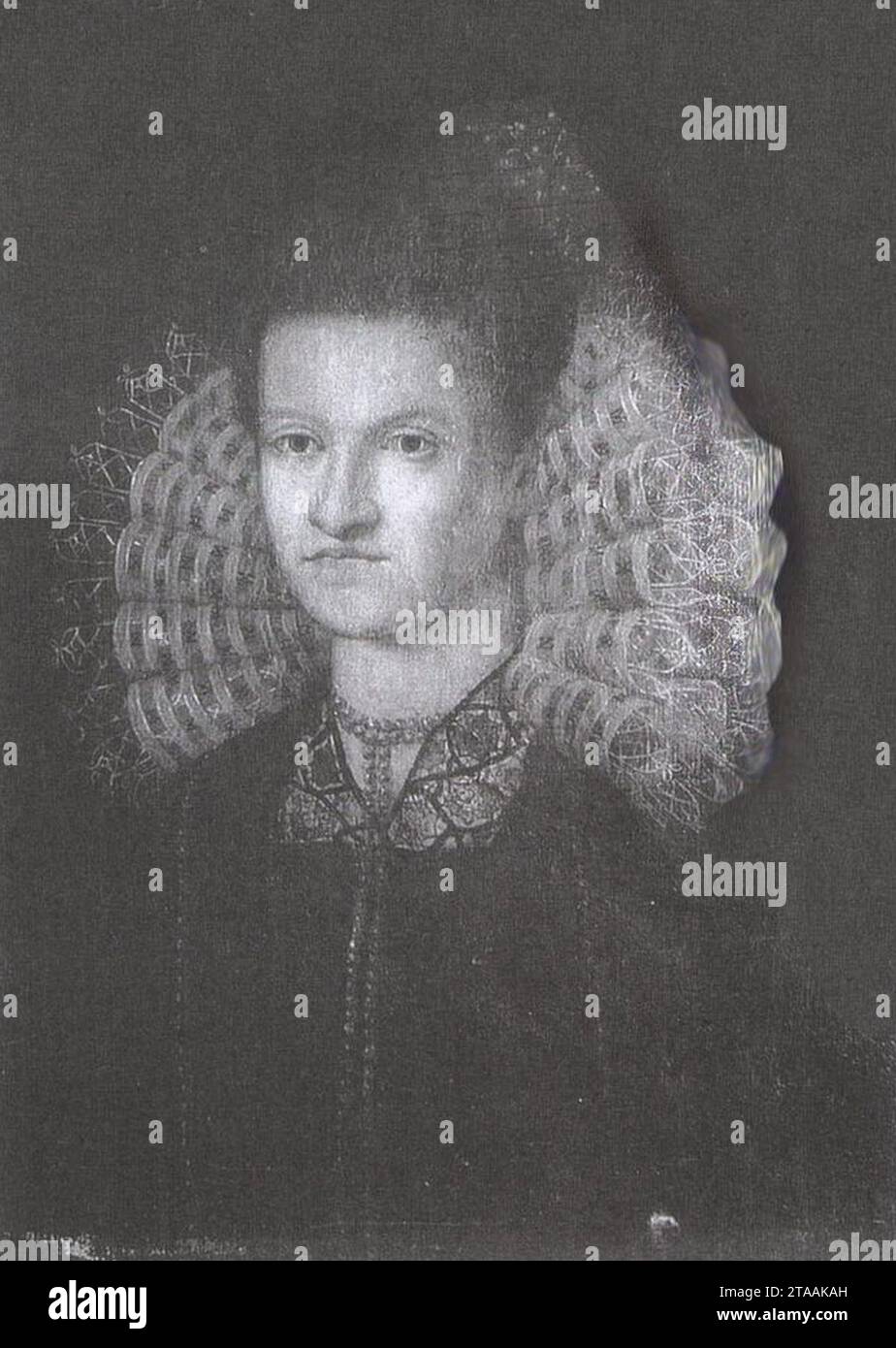 Medici virginia de hi-res stock photography and images - Alamy