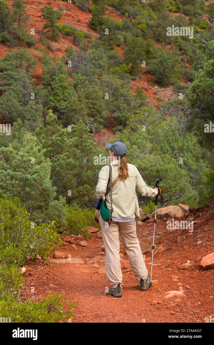 Wilson Canyon Trail, Coconino National Forest, Arizona Stock Photo - Alamy