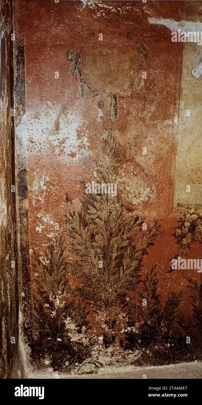 Ceii pompeii pompeii hi-res stock photography and images - Alamy