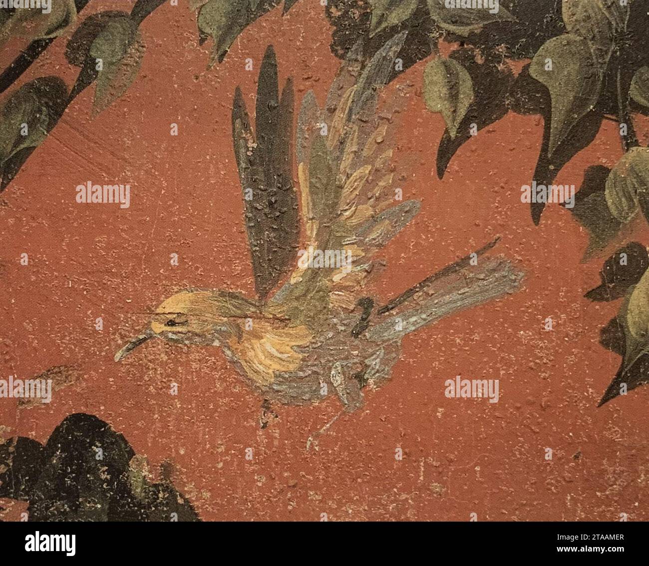 Ceii pompeii pompeii hi-res stock photography and images - Alamy