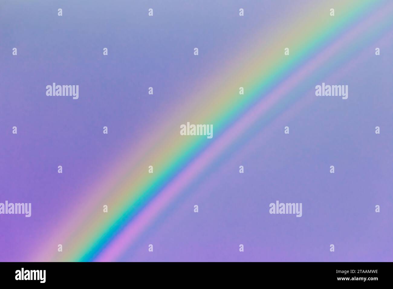 Colorful bright rainbow natural phenomenon on the background of pink ...