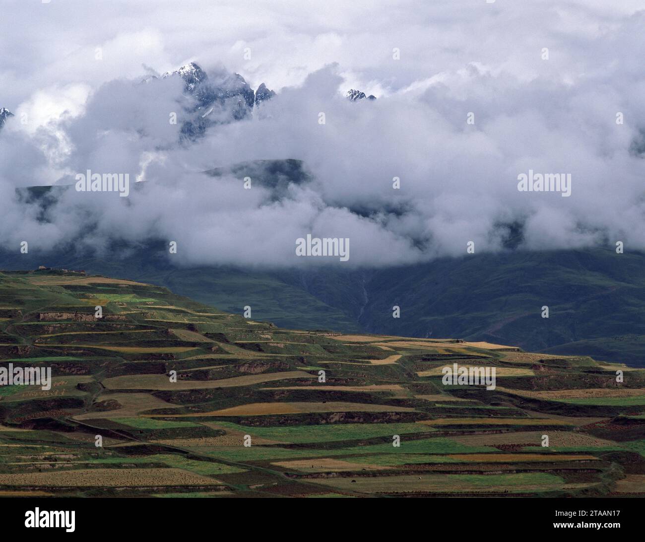 The Chola Mountains are a northern subrange of the Shaluli Mountains in ...