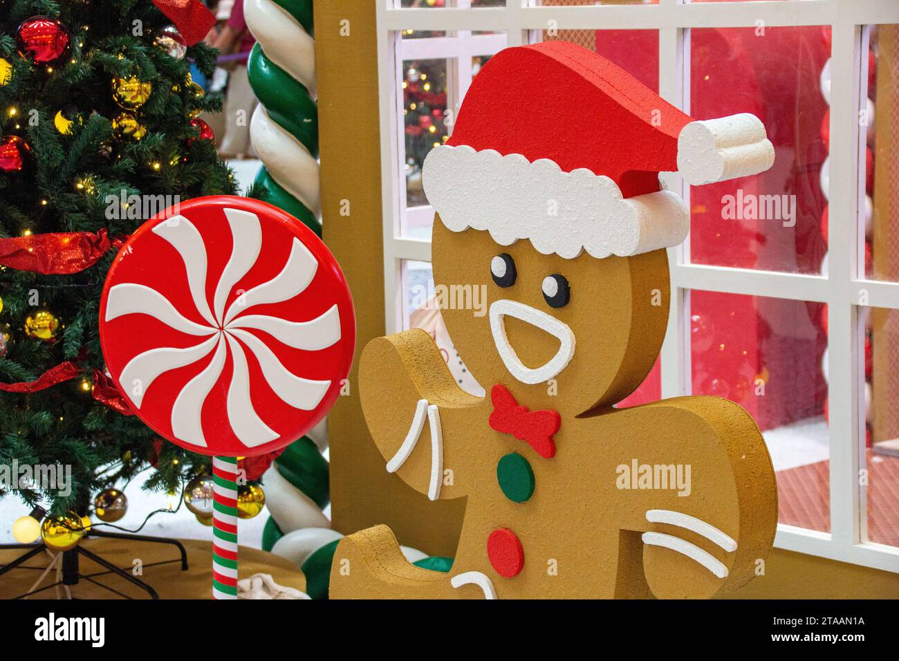 A cute gingerbread man, candy man with the decorated pine tree and the ...