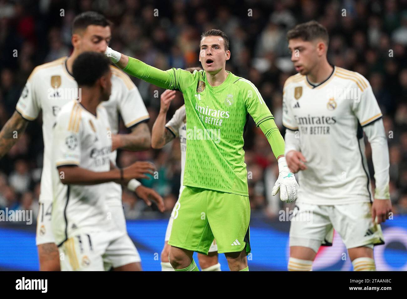 Madrid, Spain. 29th Nov, 2023. Real Madrid CF's Andriy Lunin during ...