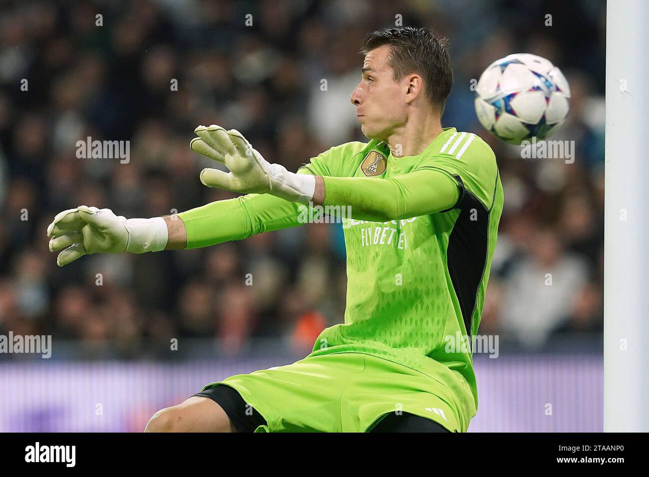 Madrid, Spain. 29th Nov, 2023. Real Madrid CF's Andriy Lunin during ...