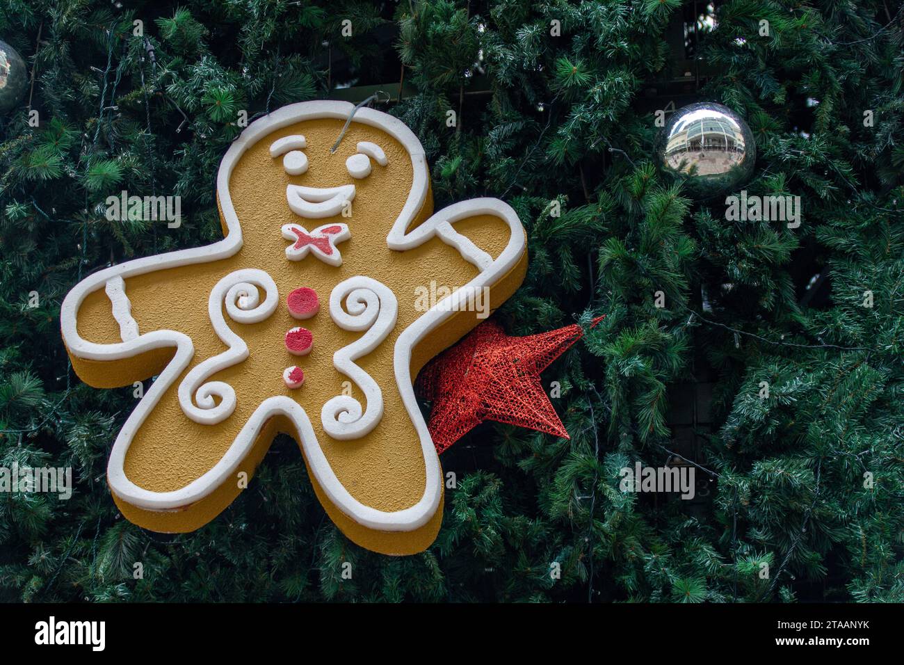 A gingerbread man, candy man on a decorated pine tree with the ...