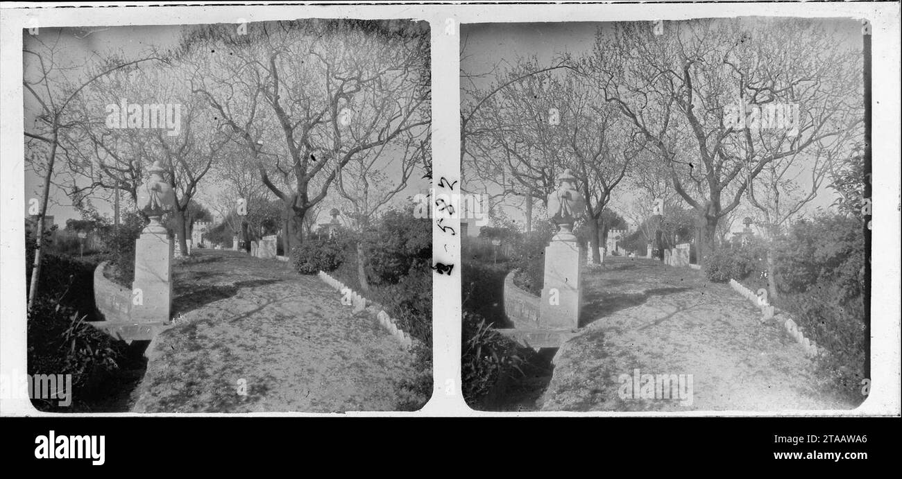 Florit hi-res stock photography and images - Alamy