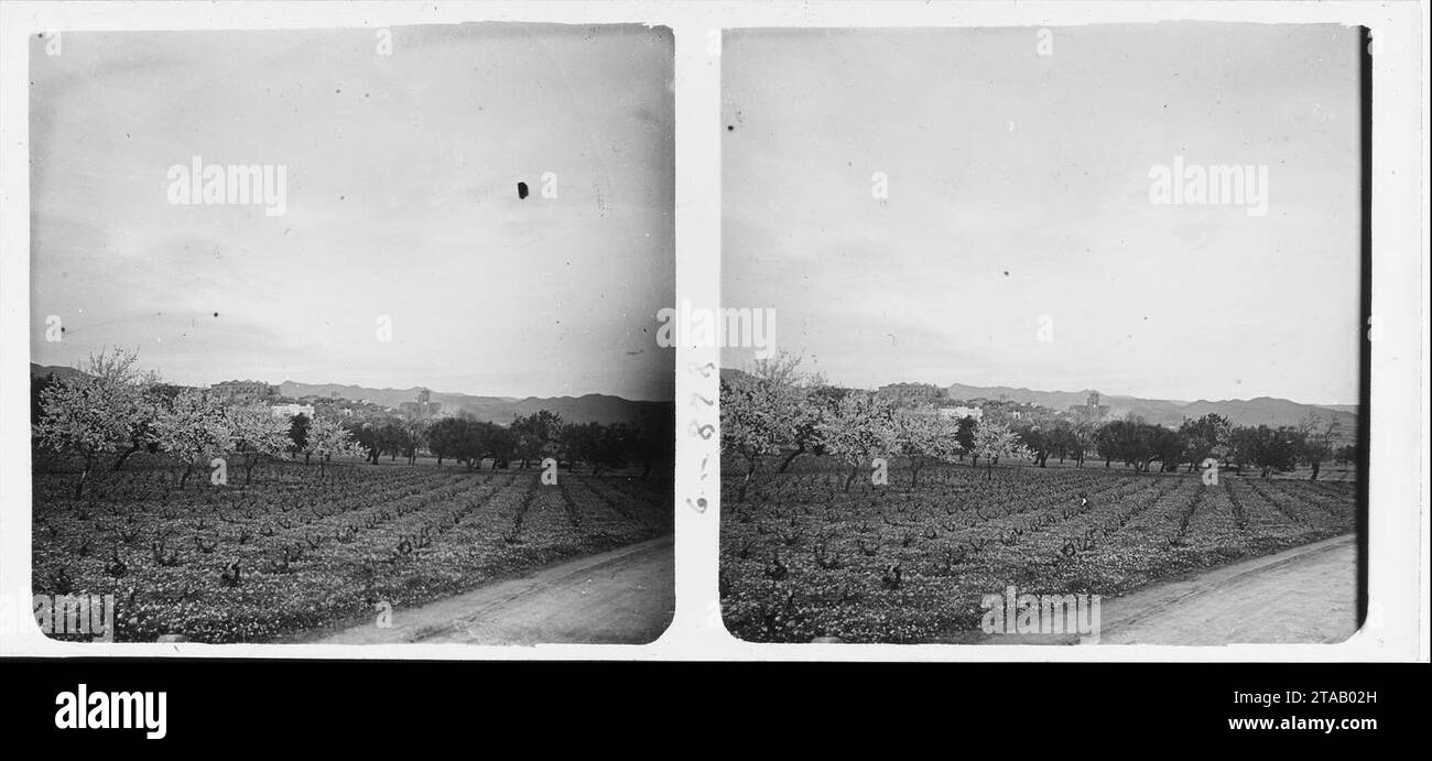 Mont roig hi-res stock photography and images - Alamy