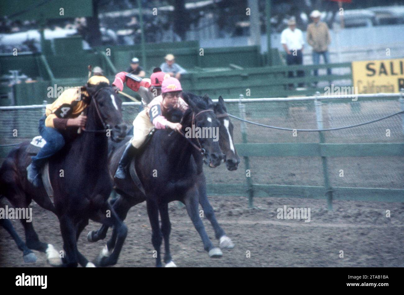 Horses running around track hi-res stock photography and images - Alamy