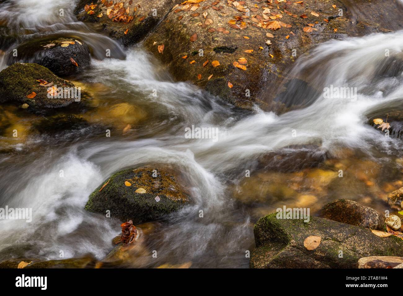 Fall foliage on the rocks in the Bear River, Grafton Notch State Park ...