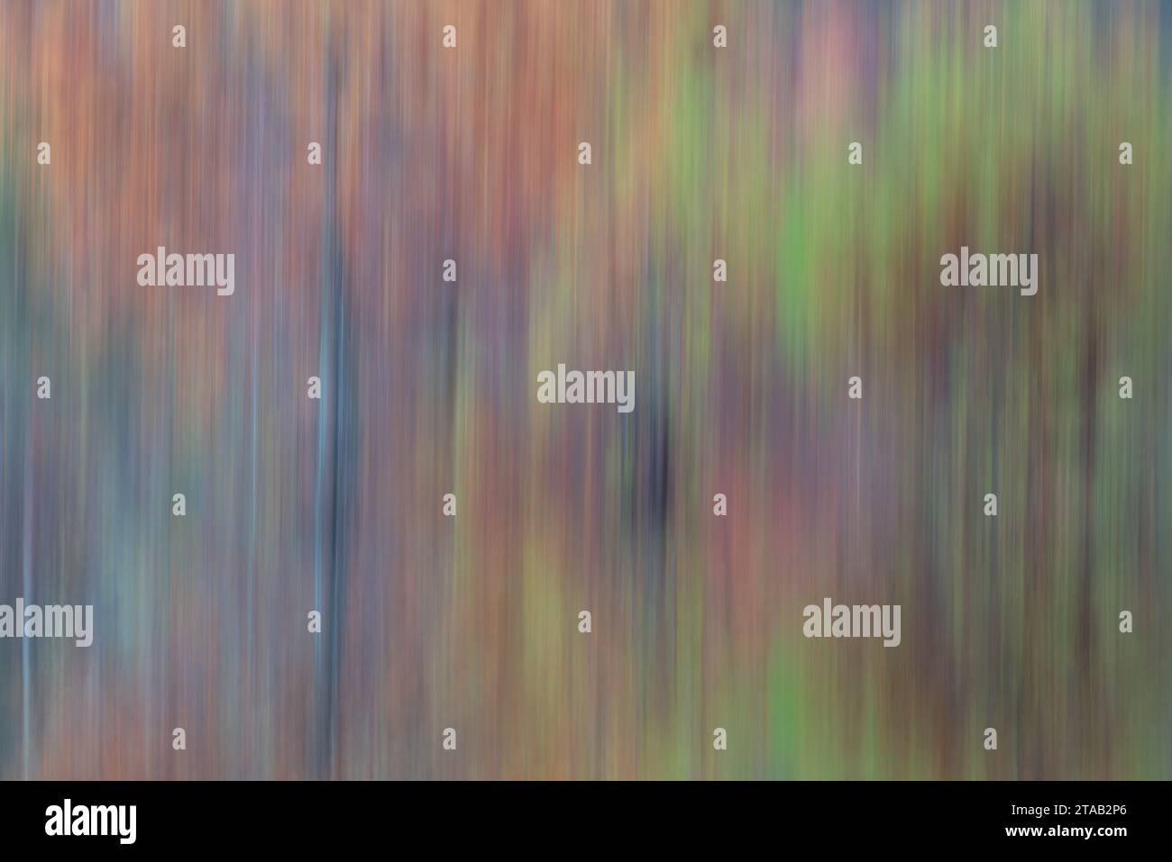 Reflection of autumn colors in the pond using intentional camera ...