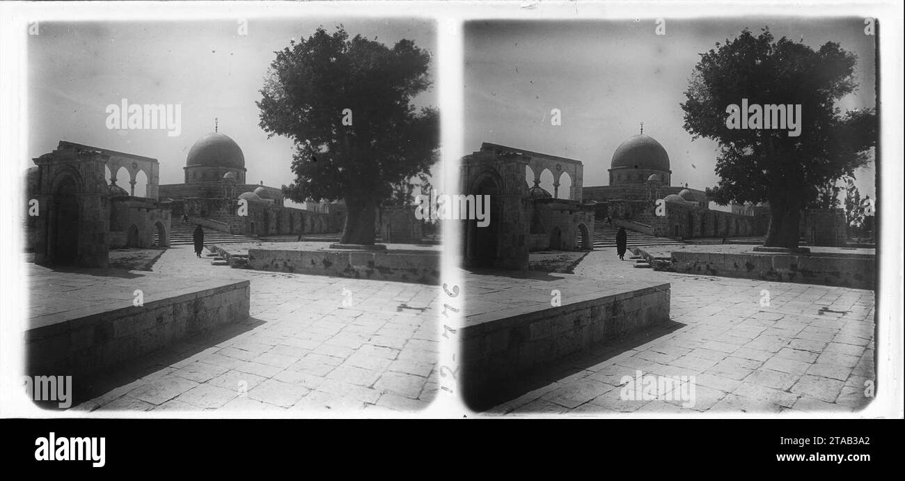 Homar Black and White Stock Photos & Images - Alamy