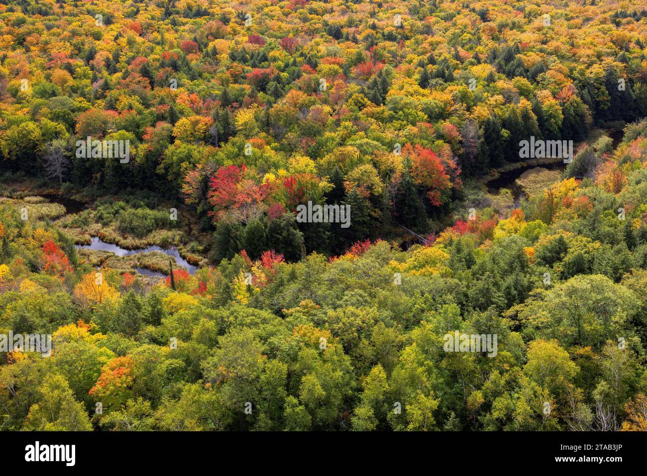 Wilderness state park hi-res stock photography and images - Alamy