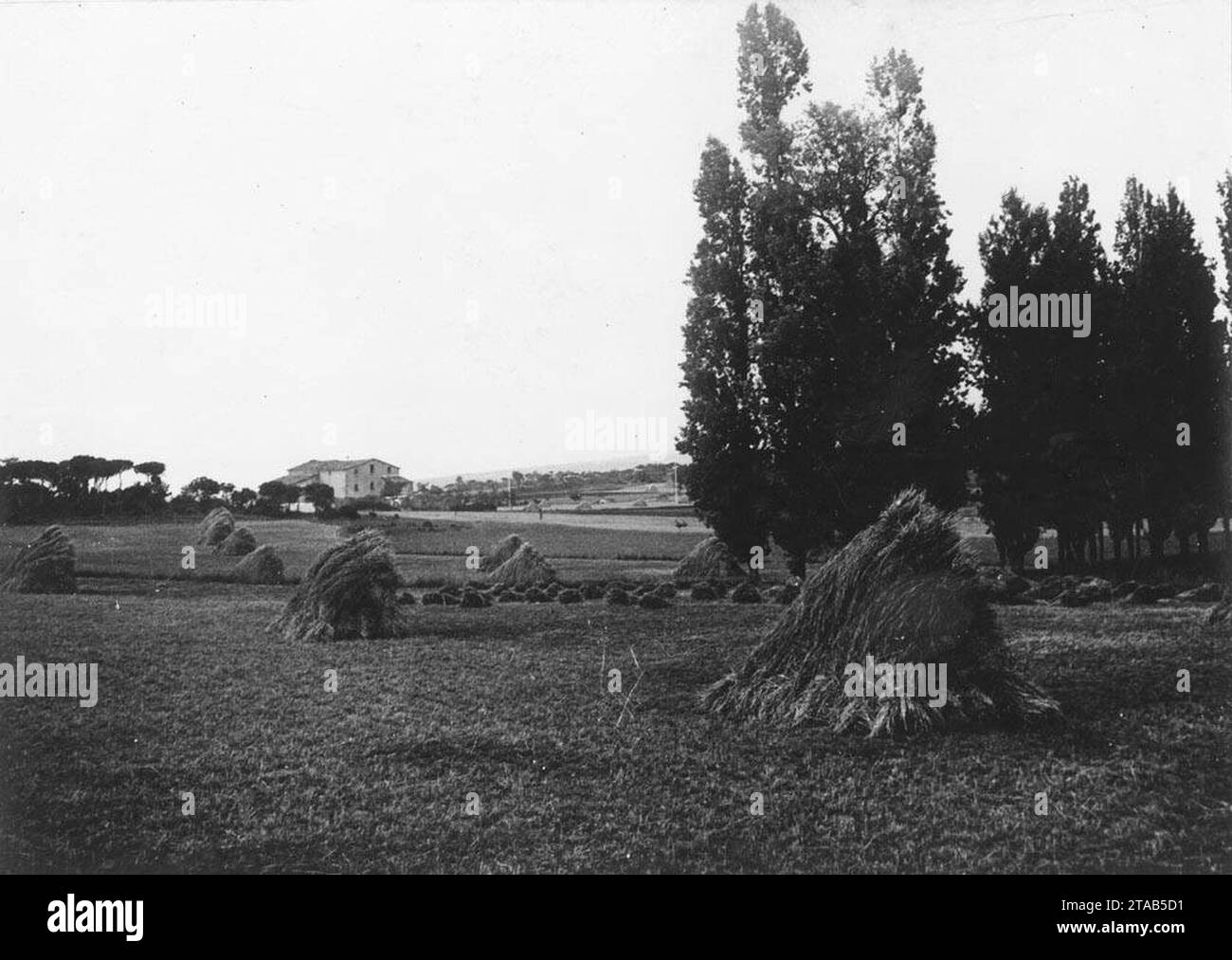 Cerdà Black and White Stock Photos & Images - Alamy
