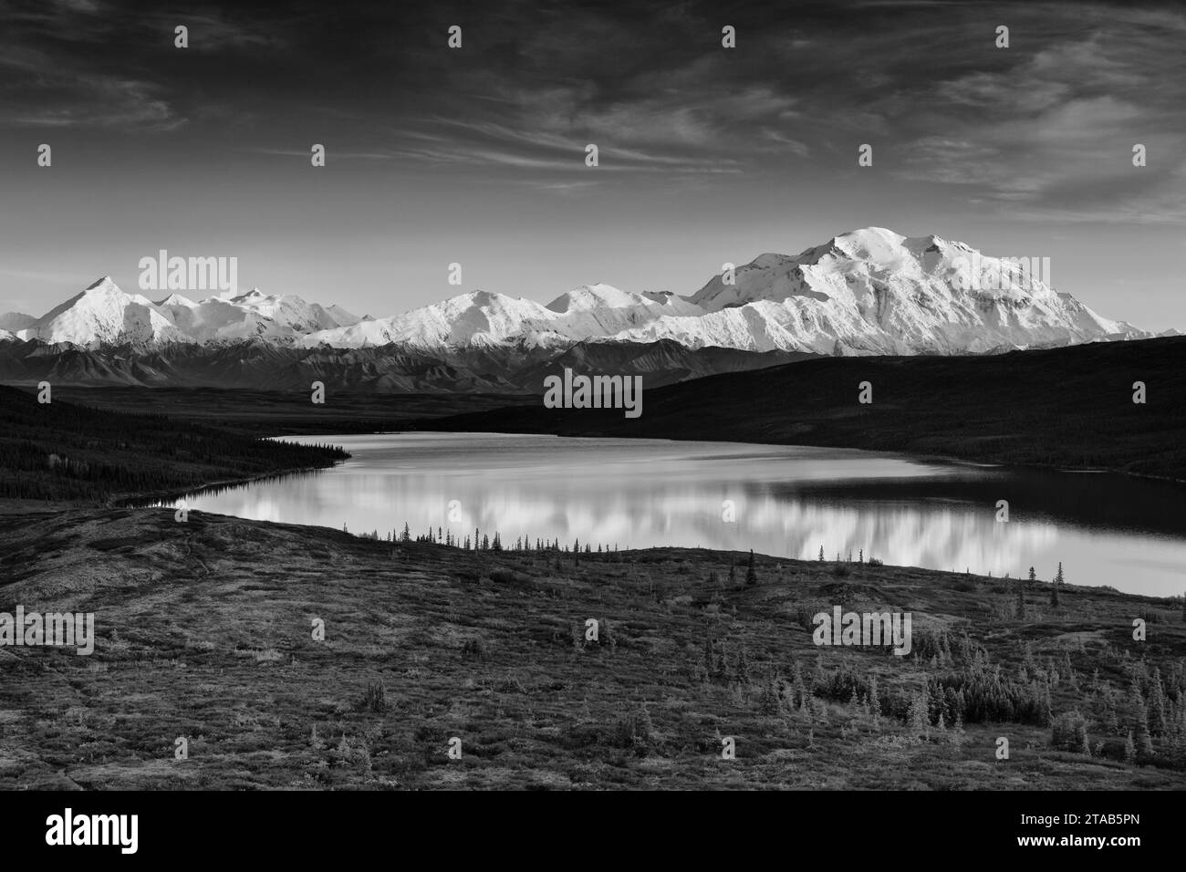 Denali National Park Endangered Species at Tayla Sligo blog