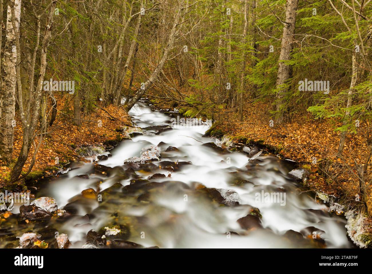 Stream flowing in park hi-res stock photography and images - Alamy